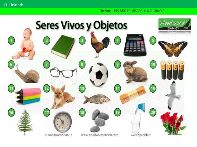 54 seres vivos y seres no vivos