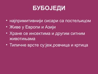 Raznovrsnost sisara | PPT