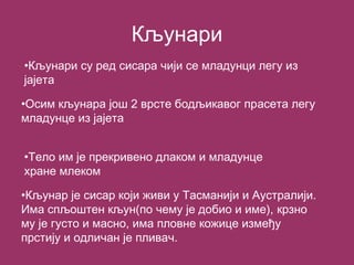 Raznovrsnost sisara | PPT