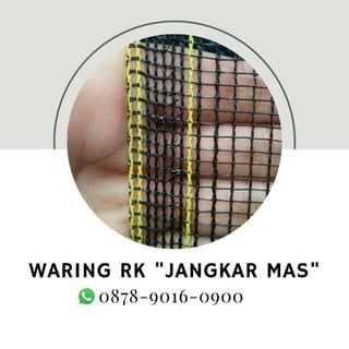 Waring Jangkar Mas | PDF