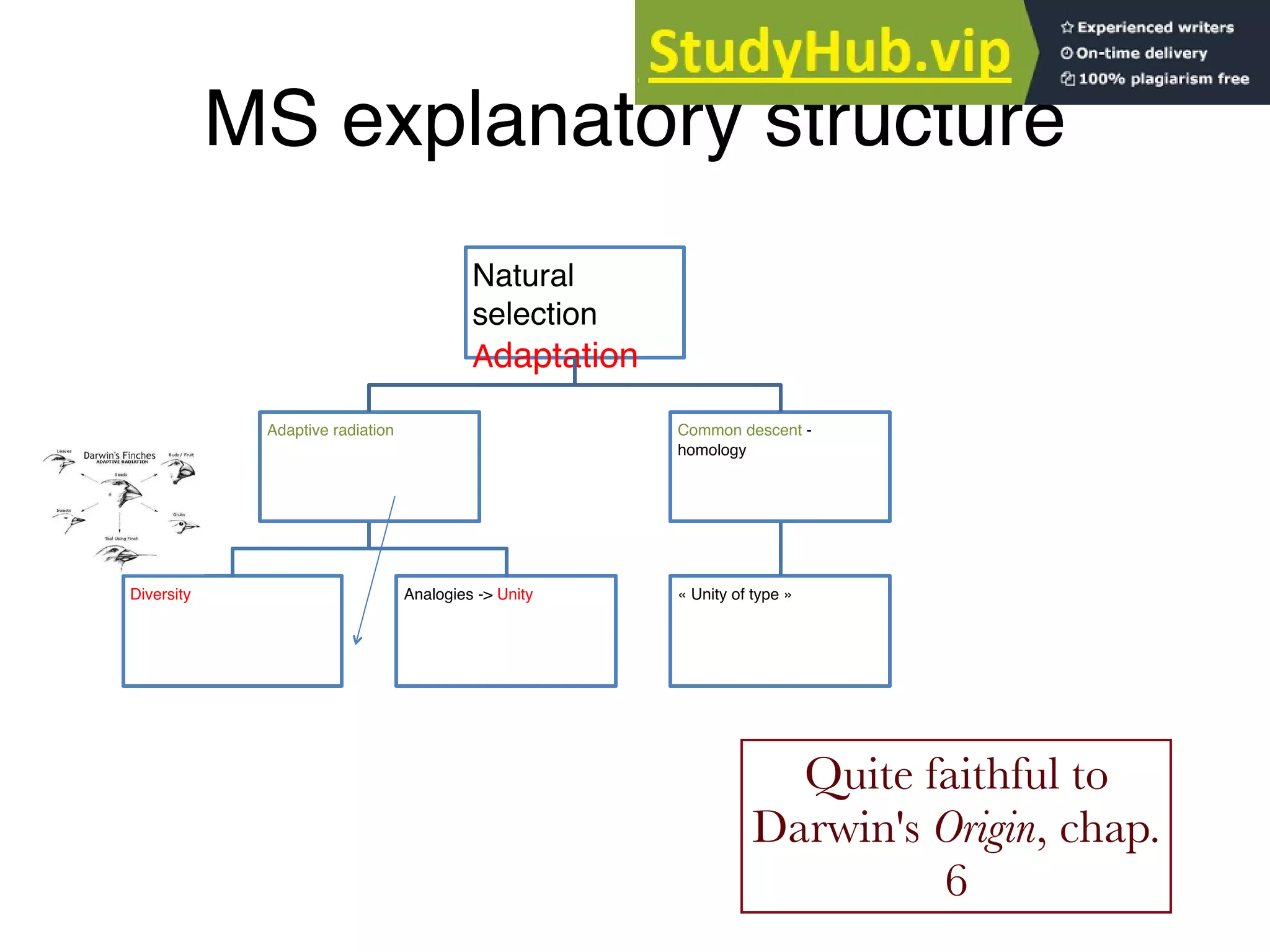 55. The Modern Synthesis And Its Competing Views Of The Explanatory ...