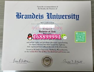 Brandeis University degree offer diploma Transcript | PPT