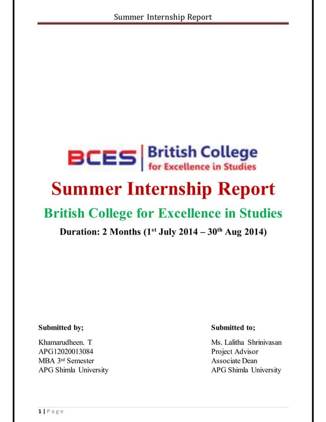 Summer Internship Report | PDF