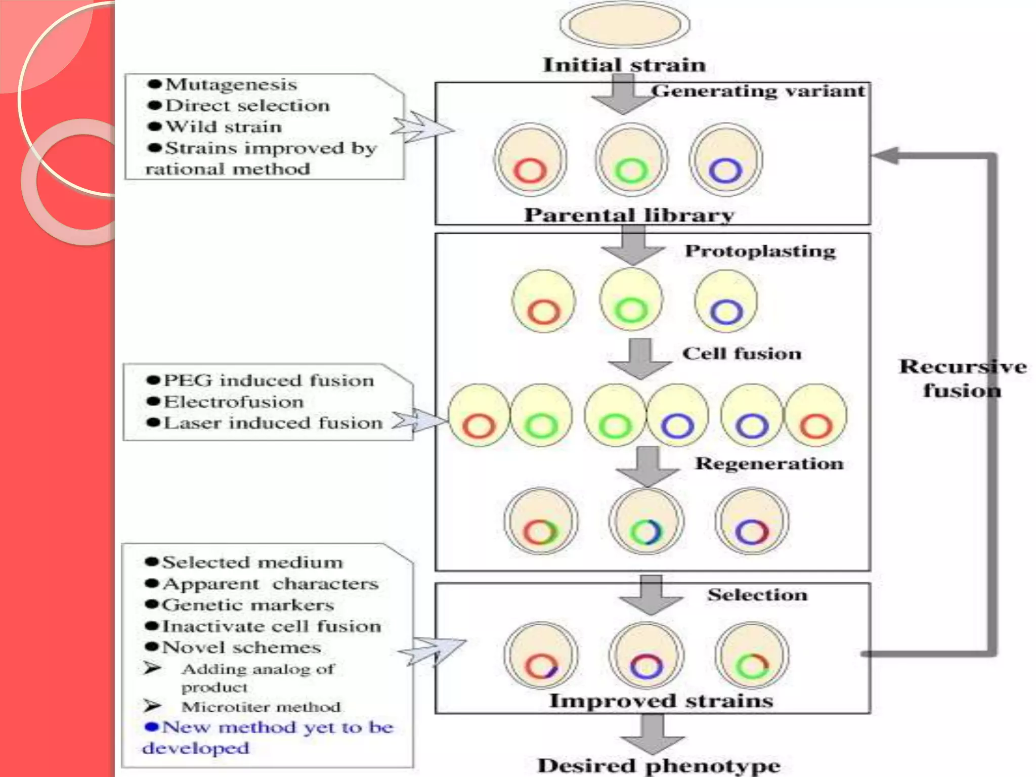 strain improvement techniques | PPTX