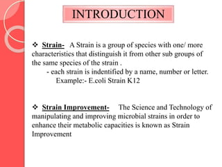 STRAIN IMPROVEMENT AND ITS APPLICATIONS | PPTX