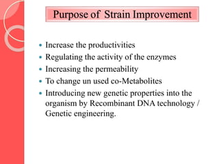 STRAIN IMPROVEMENT AND ITS APPLICATIONS | PPTX