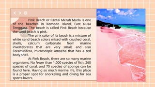 551058072-Descriptive-Text-Ppt-Kelas-10.pptx