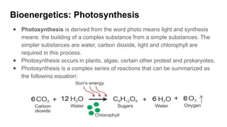 Bioenergetics.pptx.credittotheownerofthepresentation | PPTX
