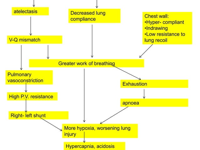 55274777 respiratory-distress-in-newborn | PPT