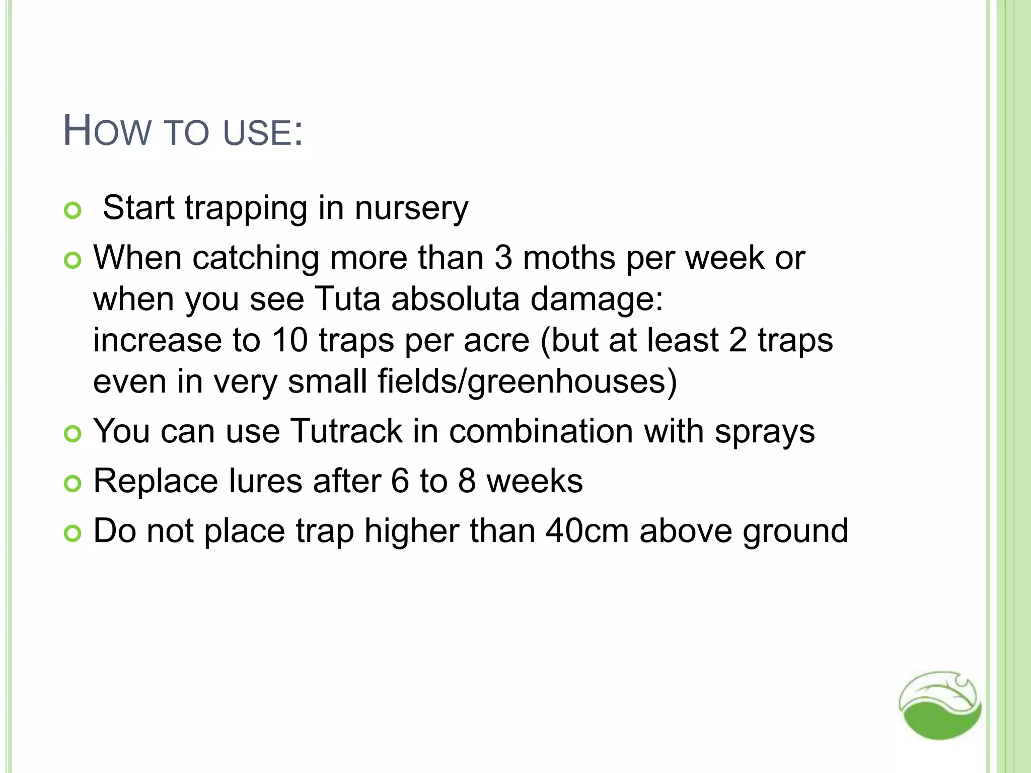 Tuta Absoluta presentation | PPTX