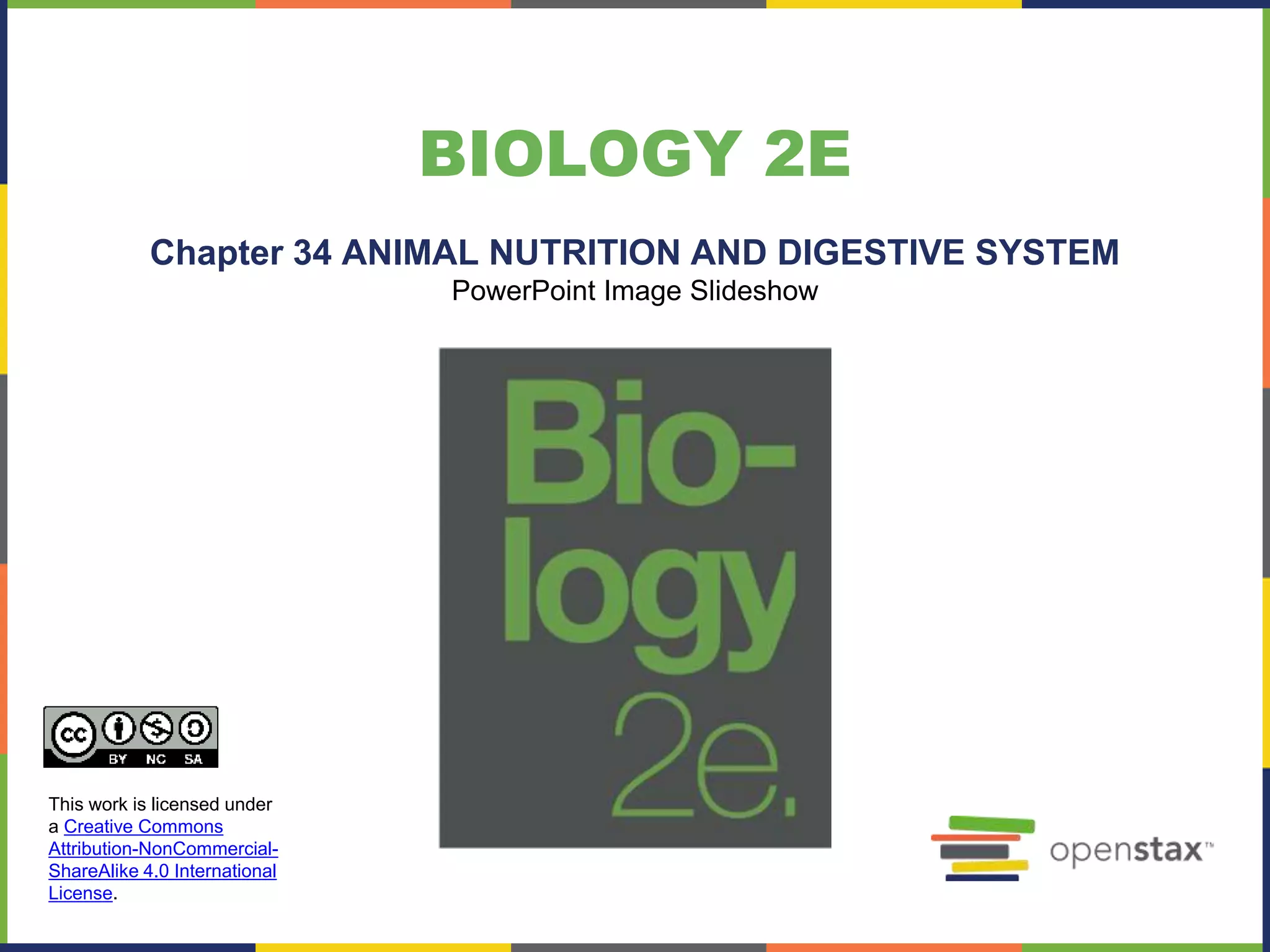 Animal nutrition and digestive system | PPTX