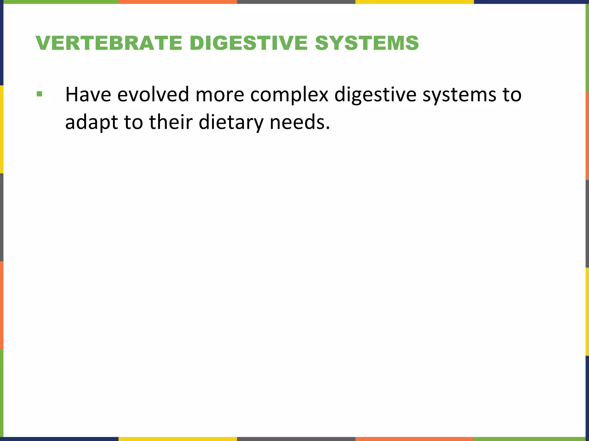Animal nutrition and digestive system | PPT