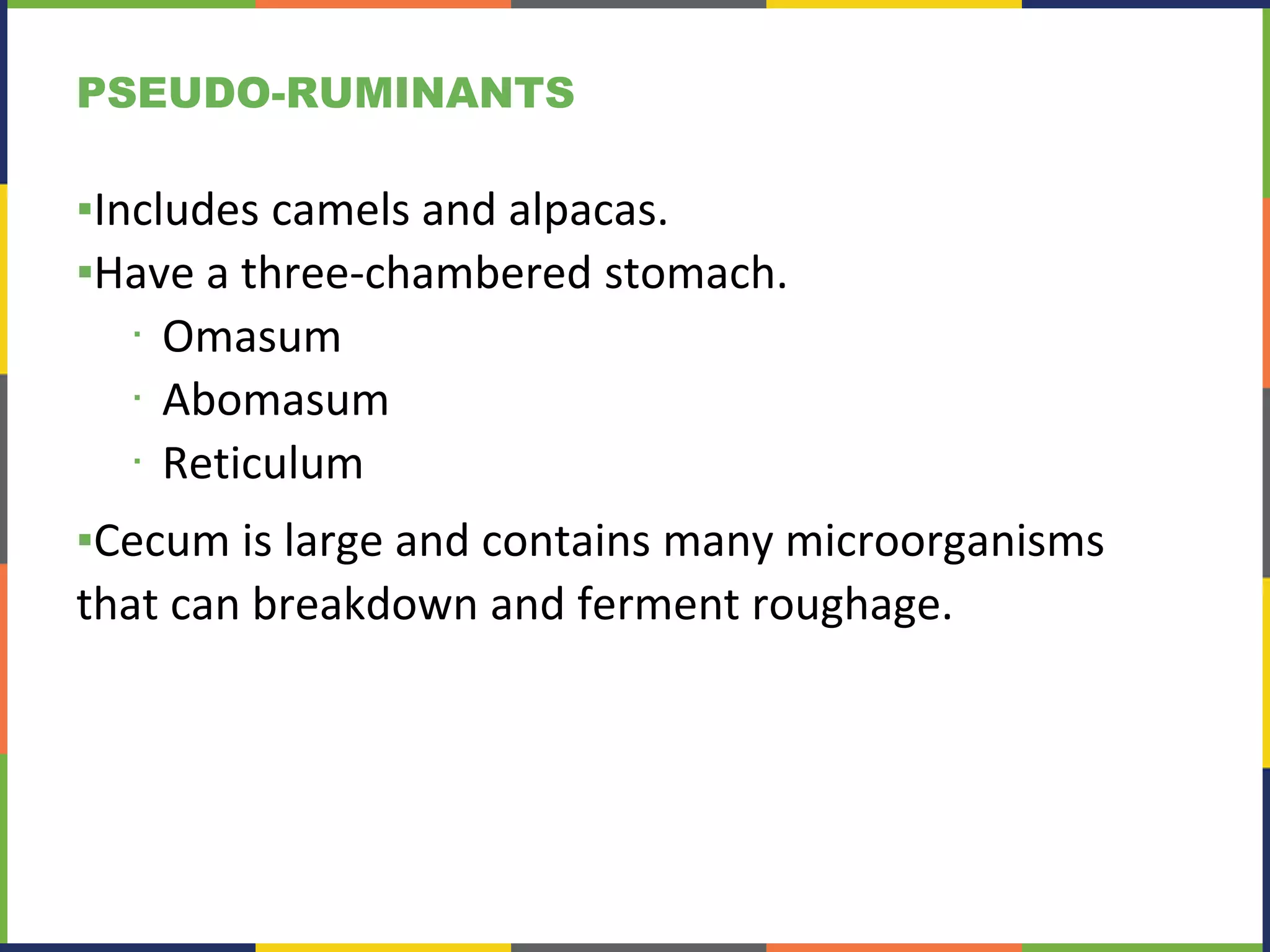 Animal nutrition and digestive system | PPTX