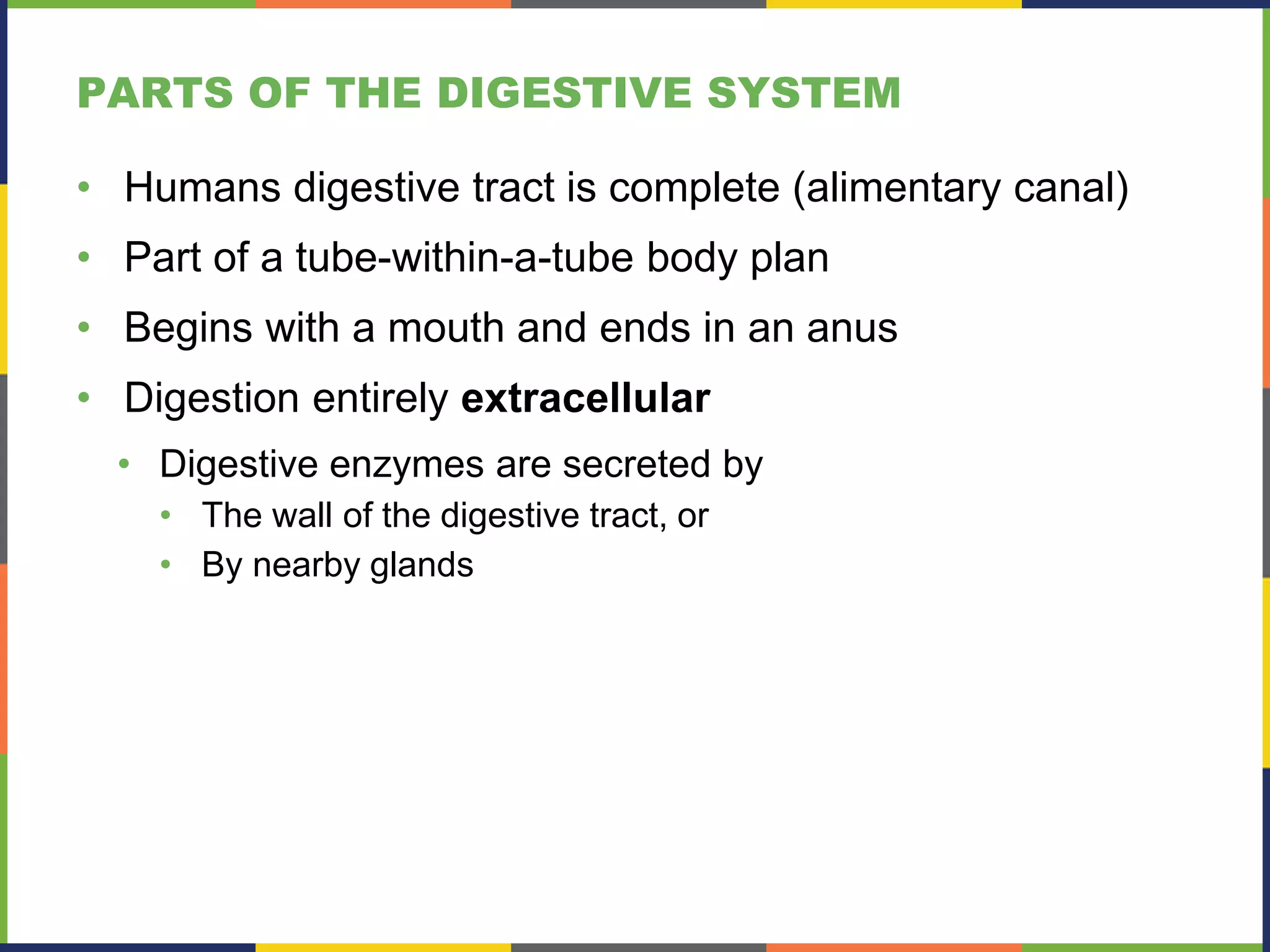 Animal nutrition and digestive system | PPTX
