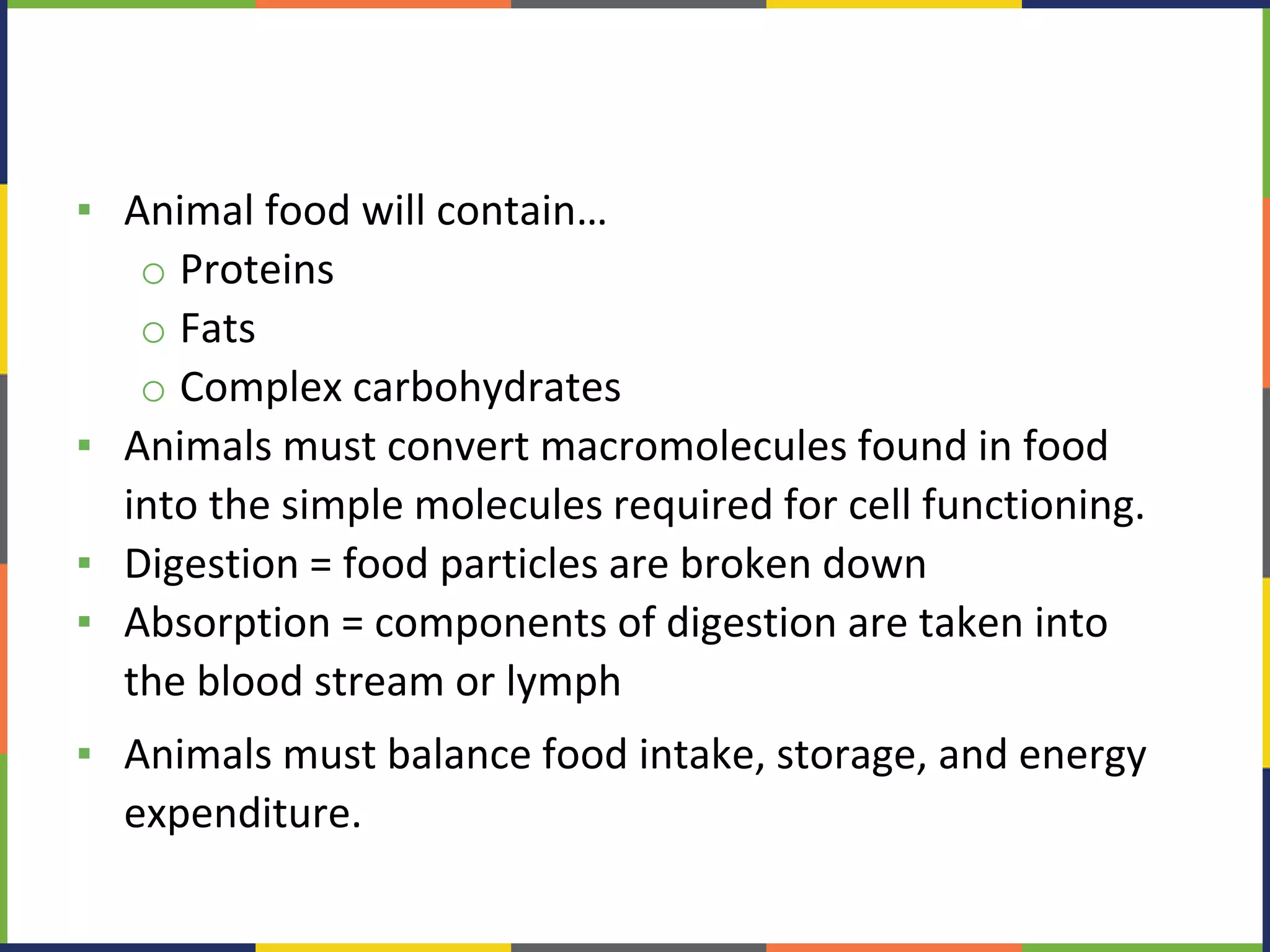Animal nutrition and digestive system | PPTX