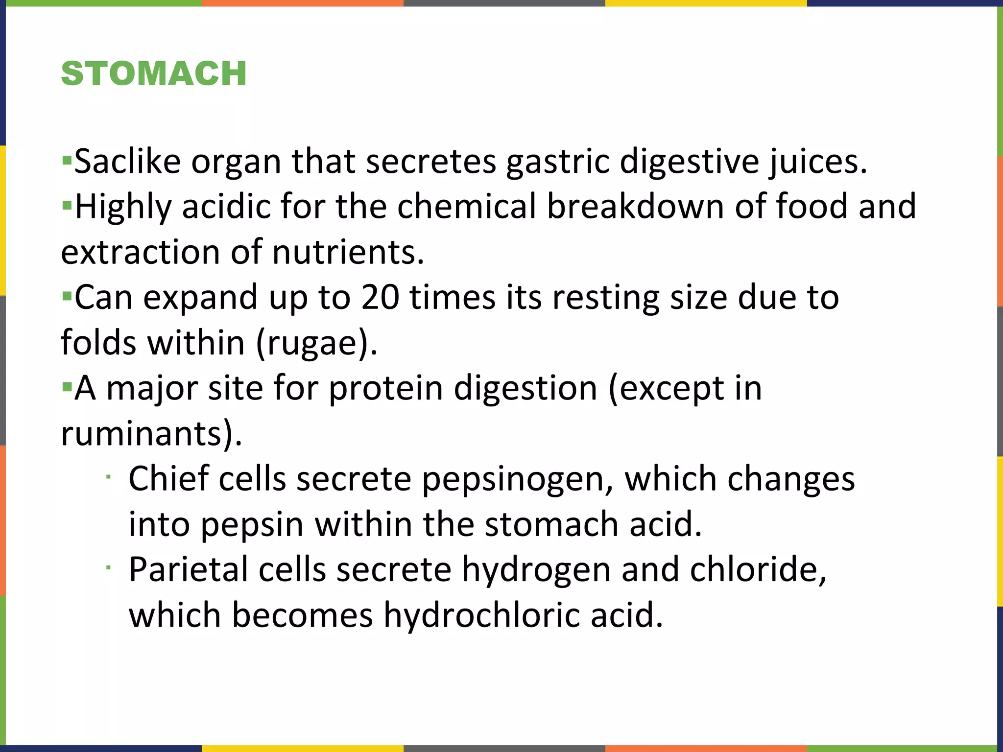 Animal nutrition and digestive system | PPTX