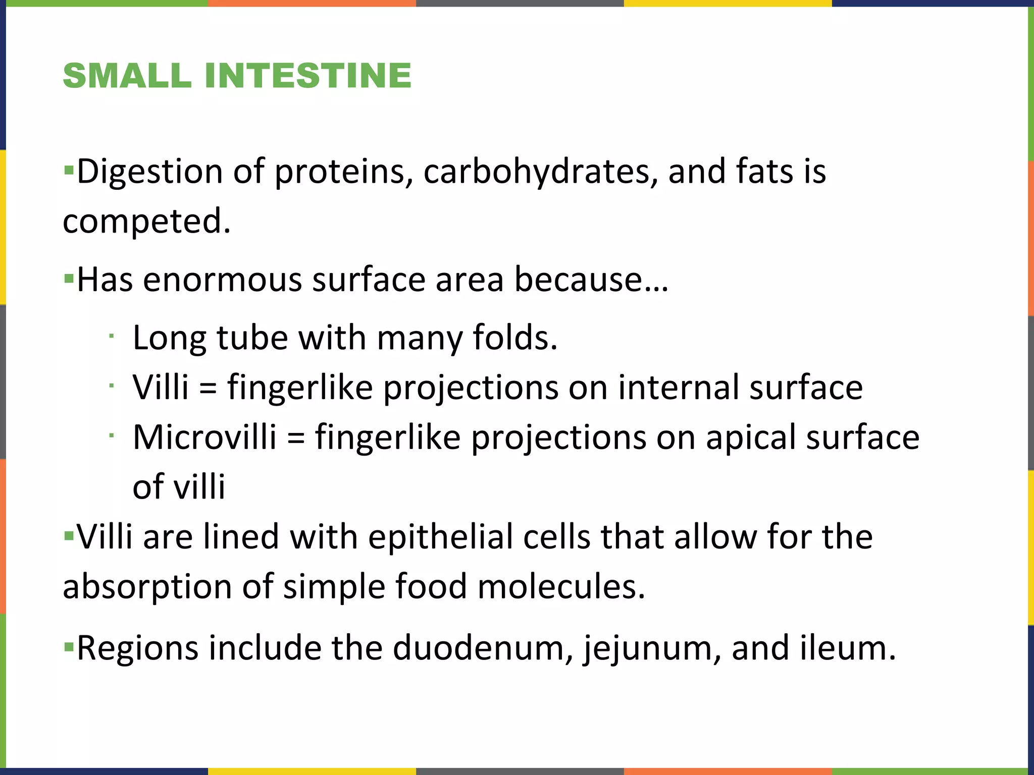 Animal nutrition and digestive system | PPTX