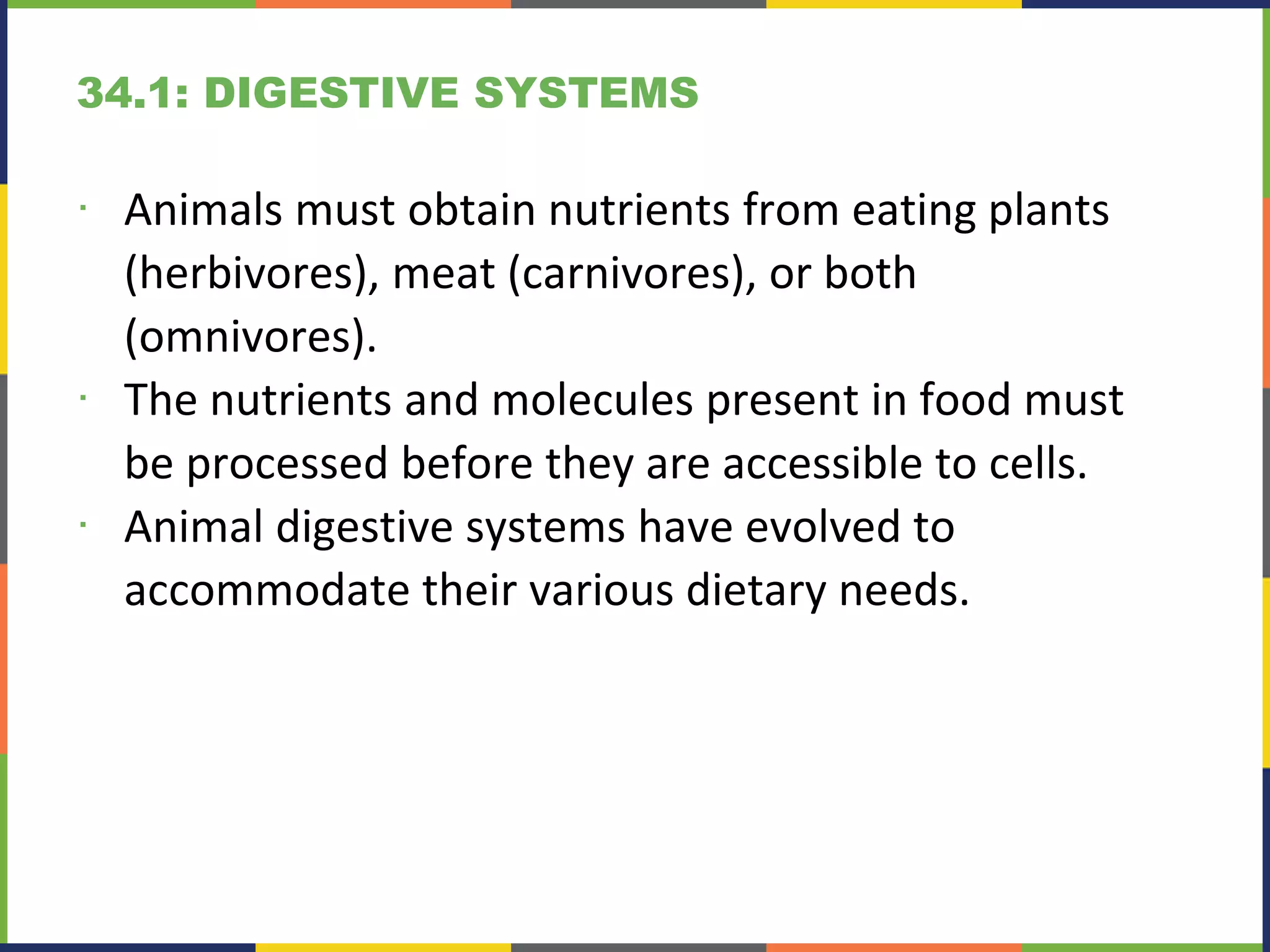 Animal nutrition and digestive system | PPTX