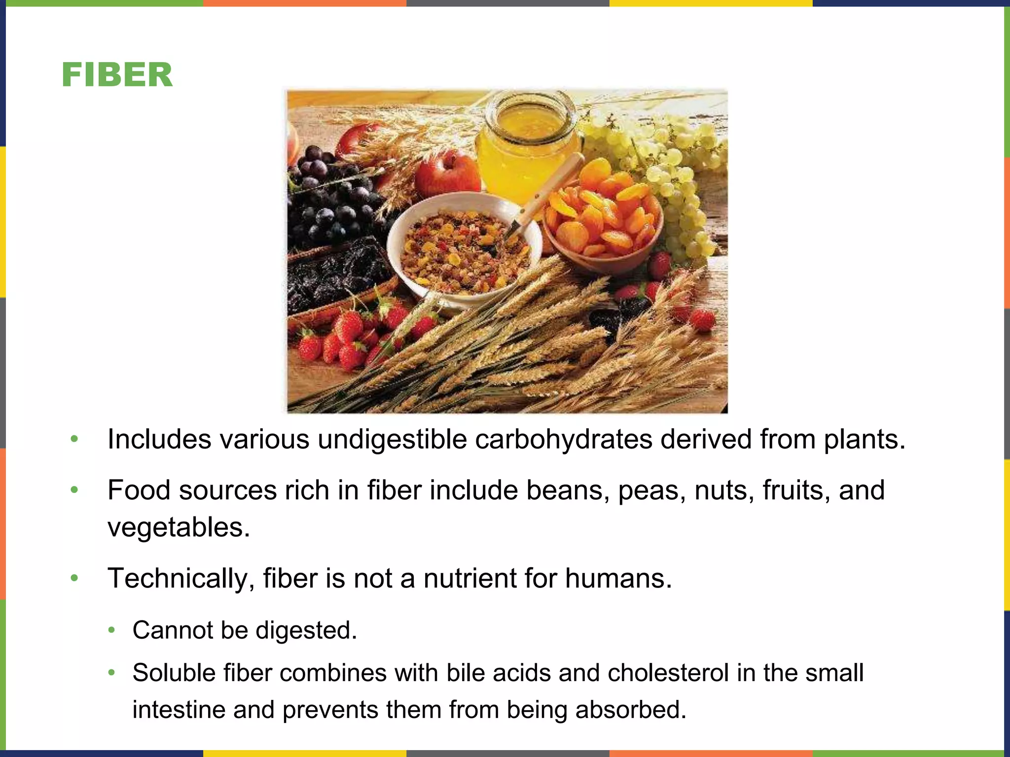 Animal nutrition and digestive system | PPTX