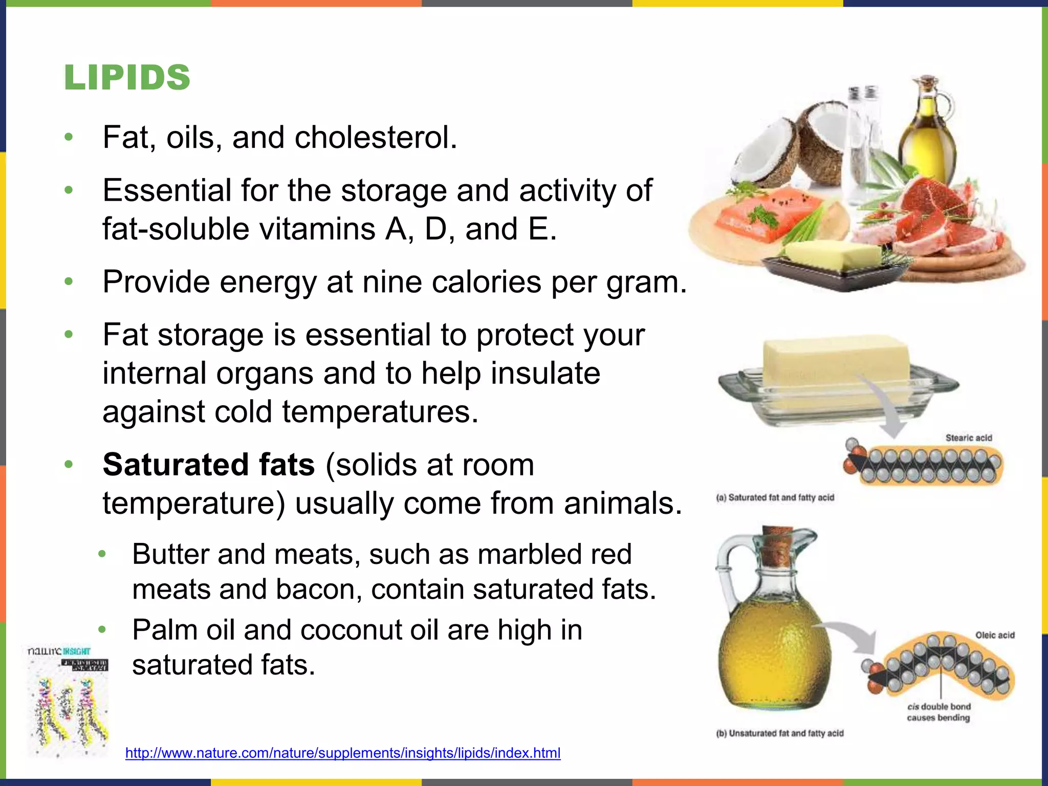 Animal nutrition and digestive system | PPTX