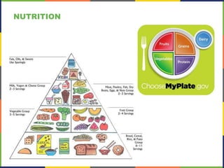 Animal nutrition and digestive system | PPTX