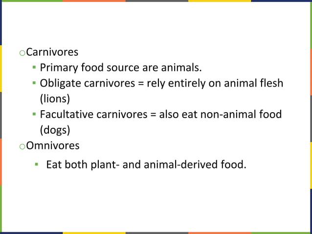 Animal nutrition and digestive system | PPT