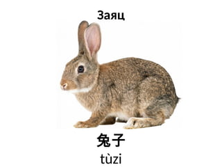 Animals chinese names to learn for kids education | PPT