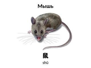 Animals chinese names to learn for kids education | PPT