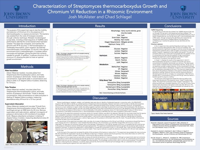 Senior Microbiology Poster | PPT