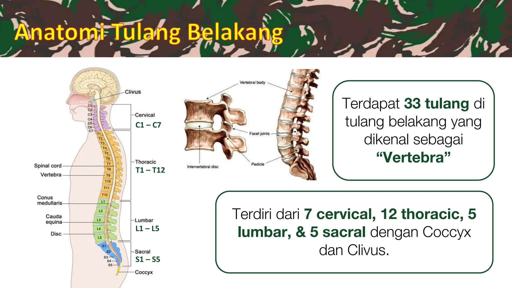 554163086-8-Trauma-Tulang-Belakang-Dr-Hanrizal-Satria.pptx