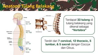 554163086-8-Trauma-Tulang-Belakang-Dr-Hanrizal-Satria.pptx