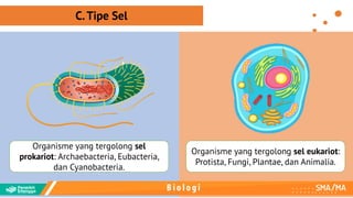 Sel dan Jaringan Hewan dan Tumbuhan .pdf