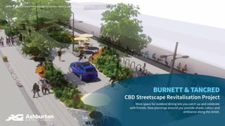 CBD Streetscape Revitalisation Project | PDF