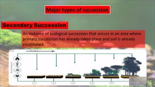 Ecological succession slideshares | PPTX