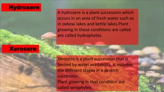 Ecological succession slideshares | PPTX