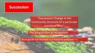 Ecological succession slideshares | PPTX