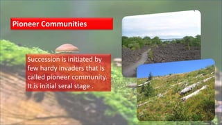 Ecological succession slideshares | PPTX