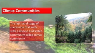 Ecological succession slideshares | PPTX