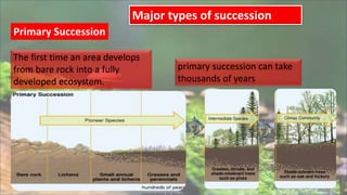 Ecological succession slideshares | PPTX