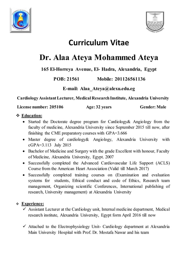 CV_Alaa Ateya | PDF