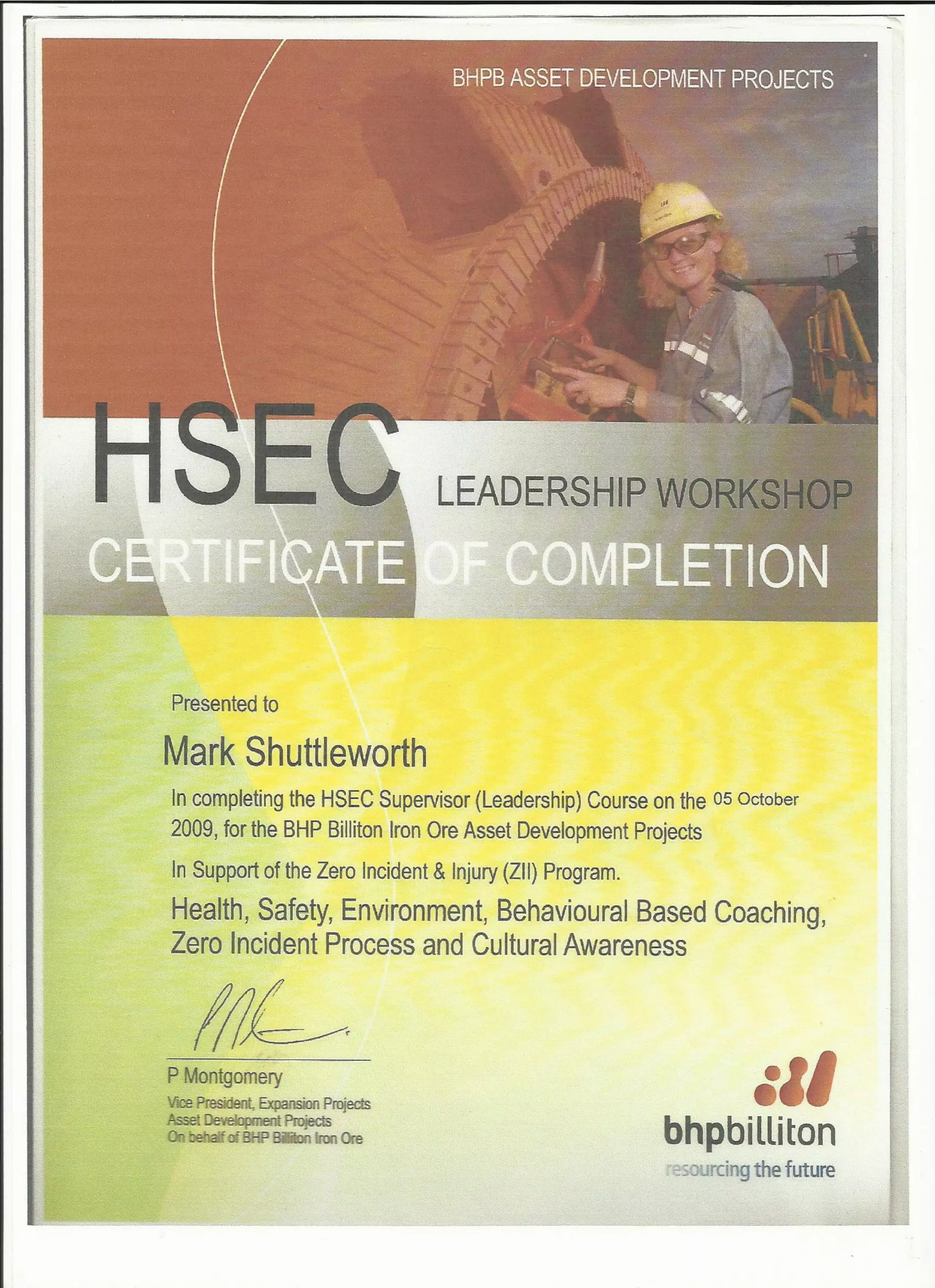 Supervisor certificate | PDF