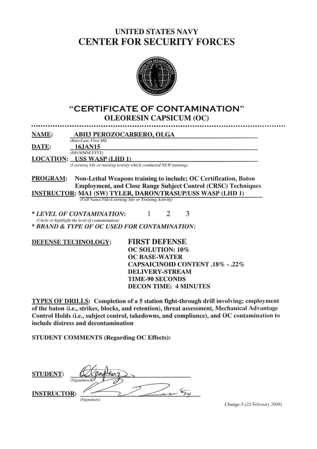 Navy Security Force | PDF