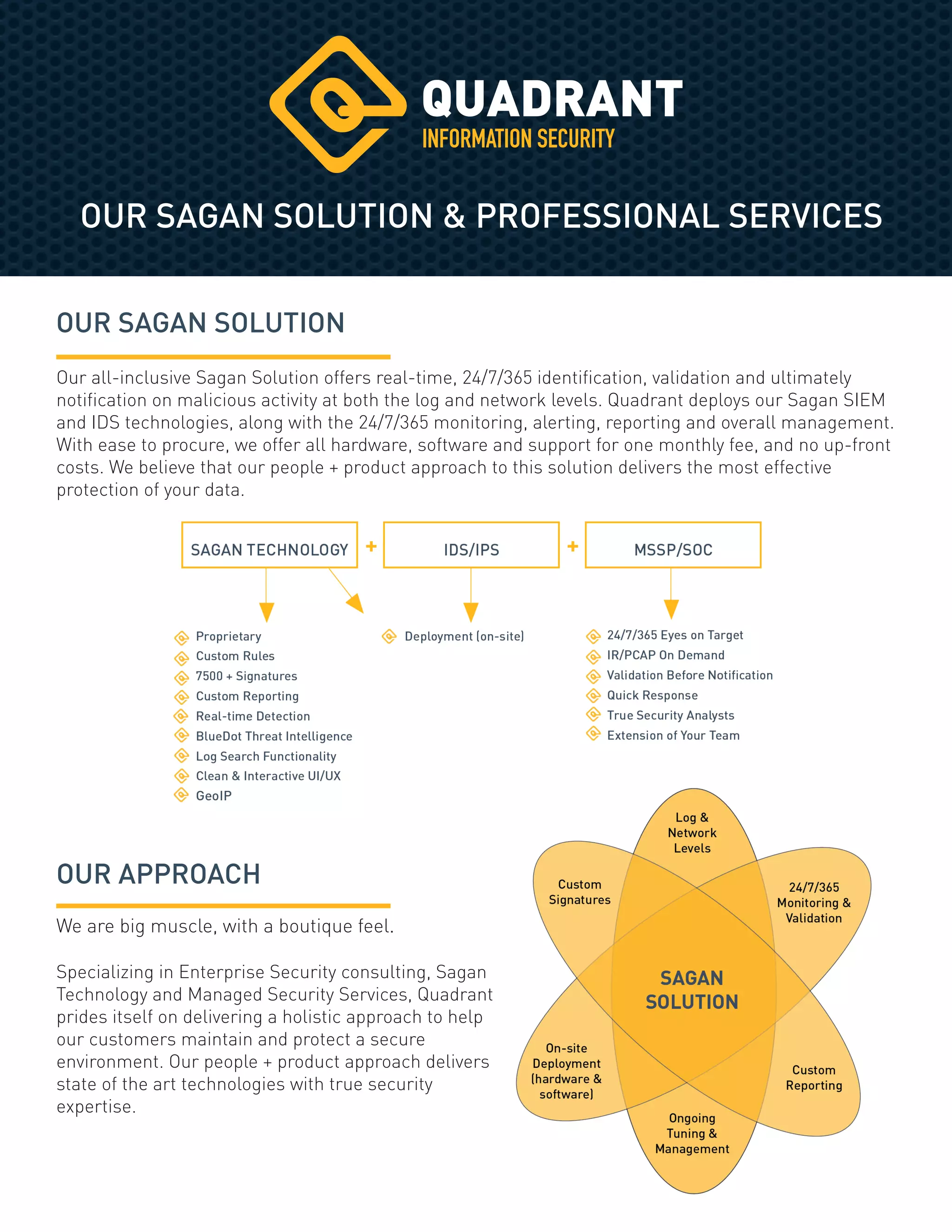 OUR SAGAN SOLUTION & PROFESSIONAL SERVICES | PDF