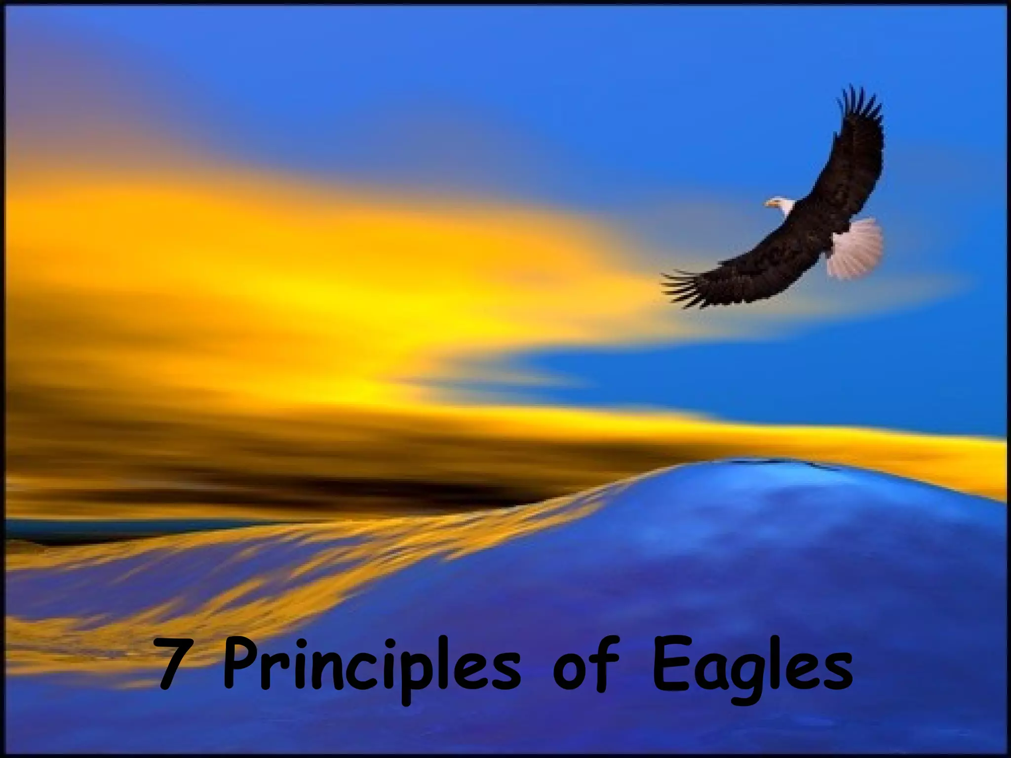 Principles of an Eagle | PPT