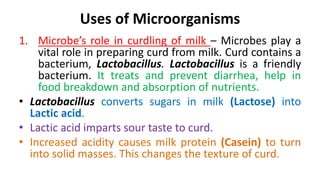 557565966386372824690Microorganisms.pptx