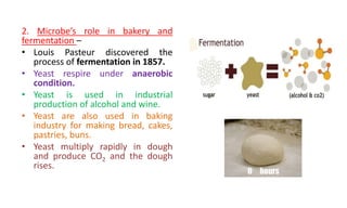 557565966386372824690Microorganisms.pptx