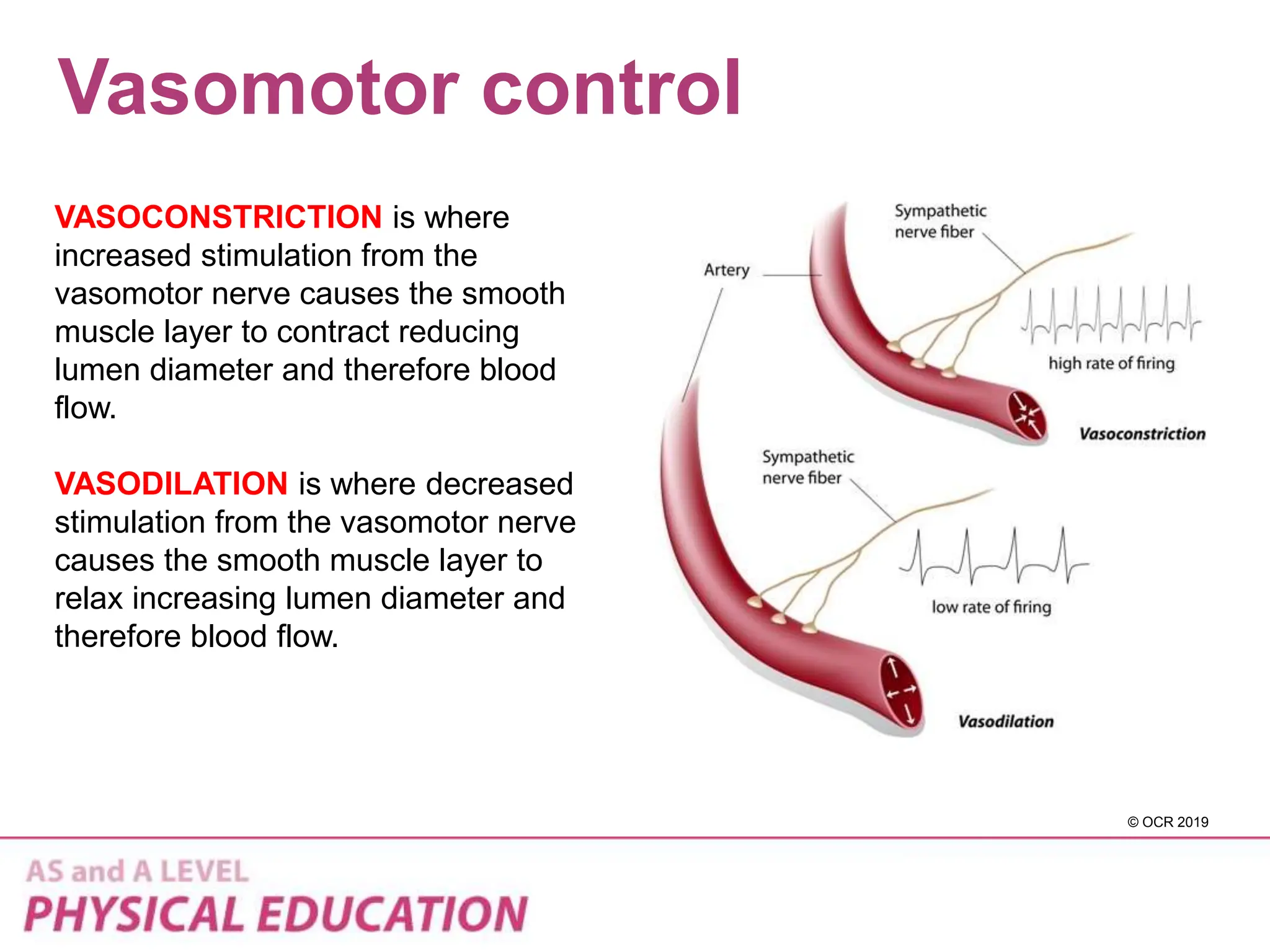 cardiovascular-and-respiratory-systems.ppt