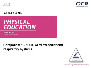 cardiovascular-and-respiratory-systems.ppt