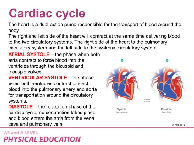 cardiovascular-and-respiratory-systems.ppt