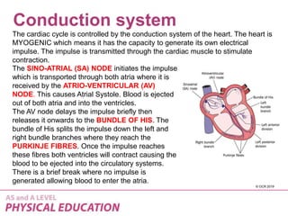cardiovascular-and-respiratory-systems.ppt